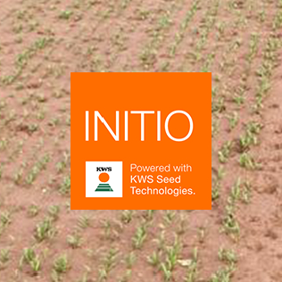 Spanish Open Days - Tozer