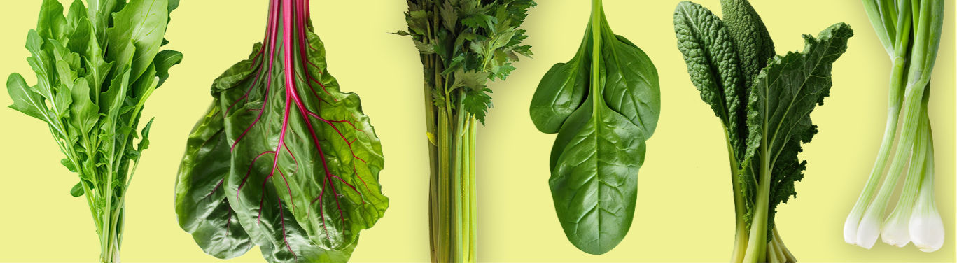 English Open Days - Tozer