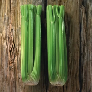 Celery - Tozer Seeds : Tozer Seeds