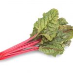 leaf - Tozer Seeds : Tozer Seeds