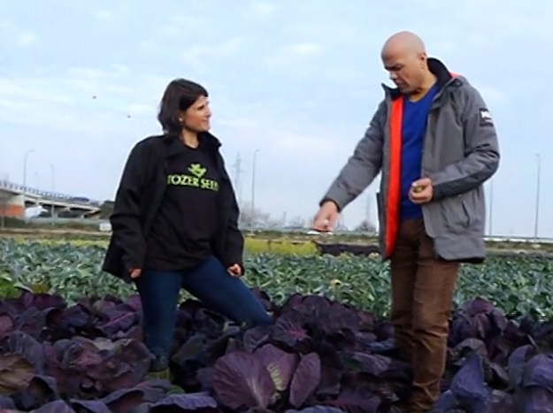 Tozer Ibérica on Spanish TV - Tozer