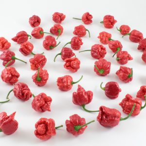 News - Tozer Seeds : Tozer Seeds