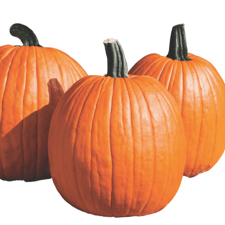 Cargo PMR F1 Seed - Tozer