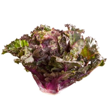 Kalette® Seeds - Tozer