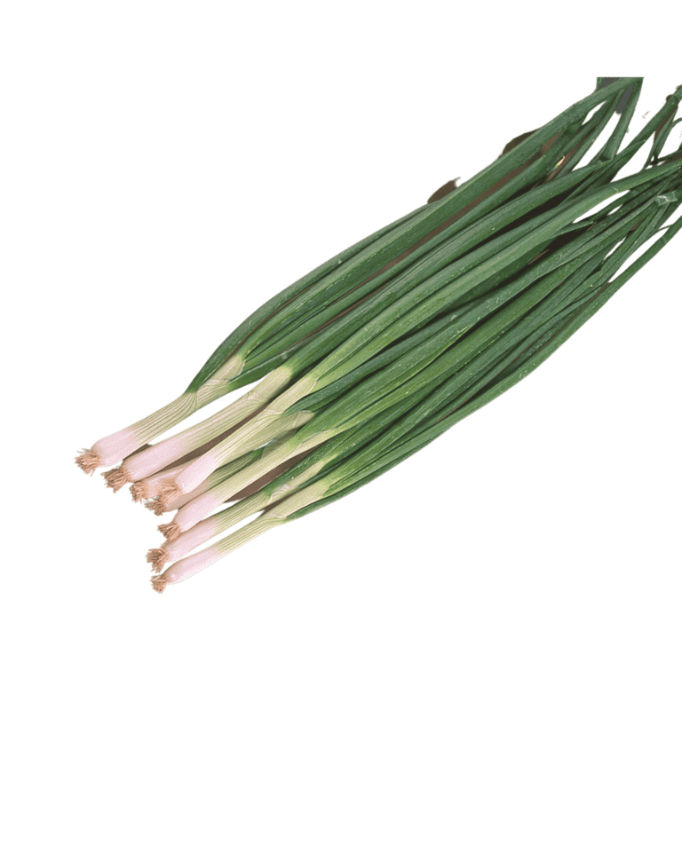 Summer Island - Tozer