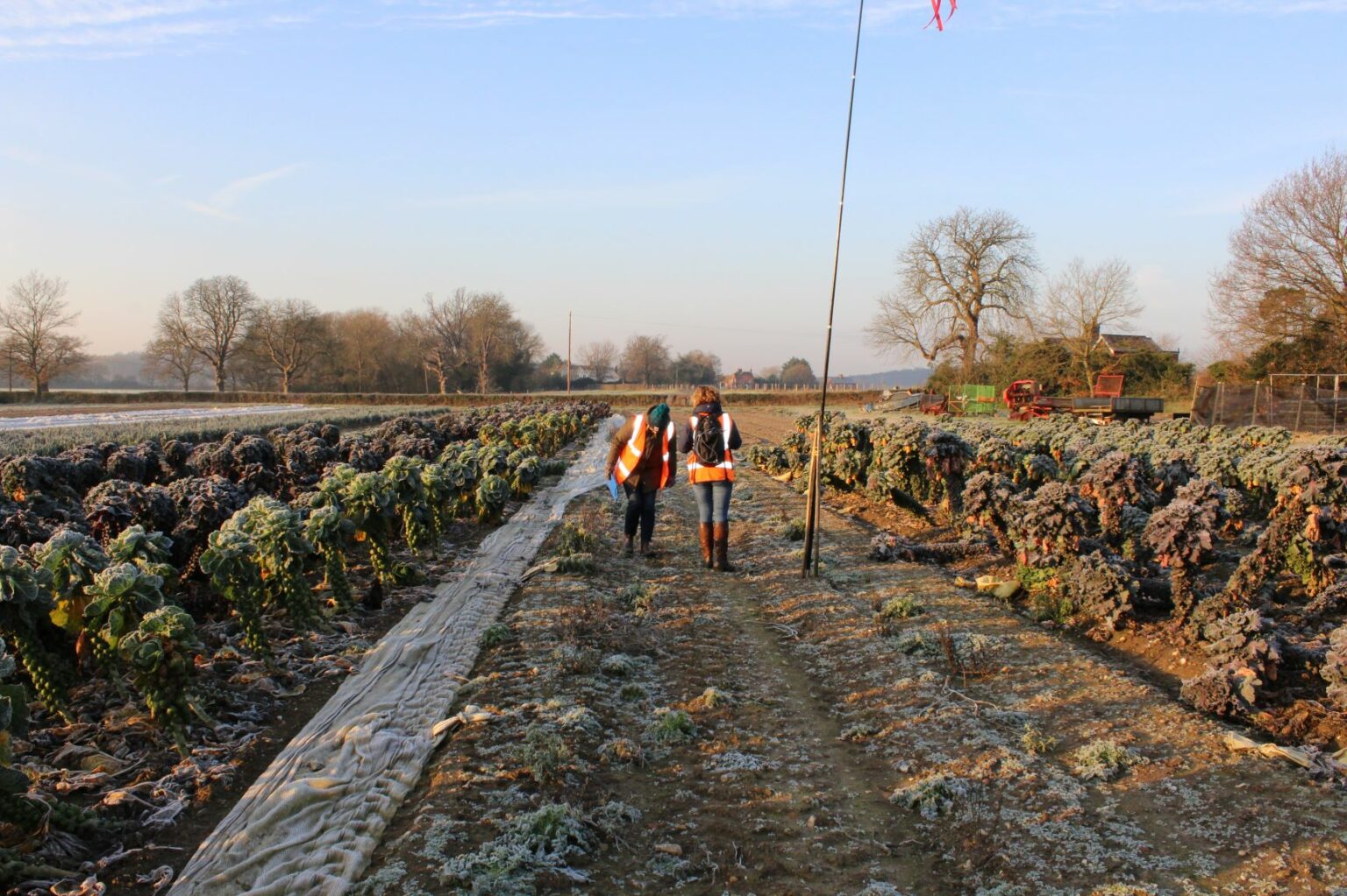 BBC Radio 4 records Farming Today at our HQ - Tozer