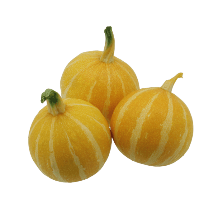 Courgette Summer Sun - Tozer