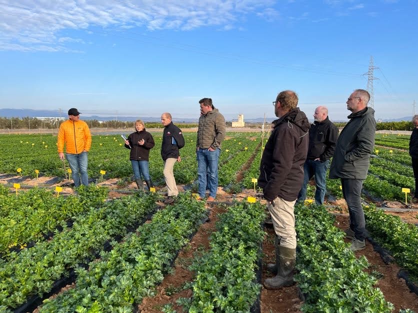 Tozer Ibérica crece un 20% en 2023 - Tozer