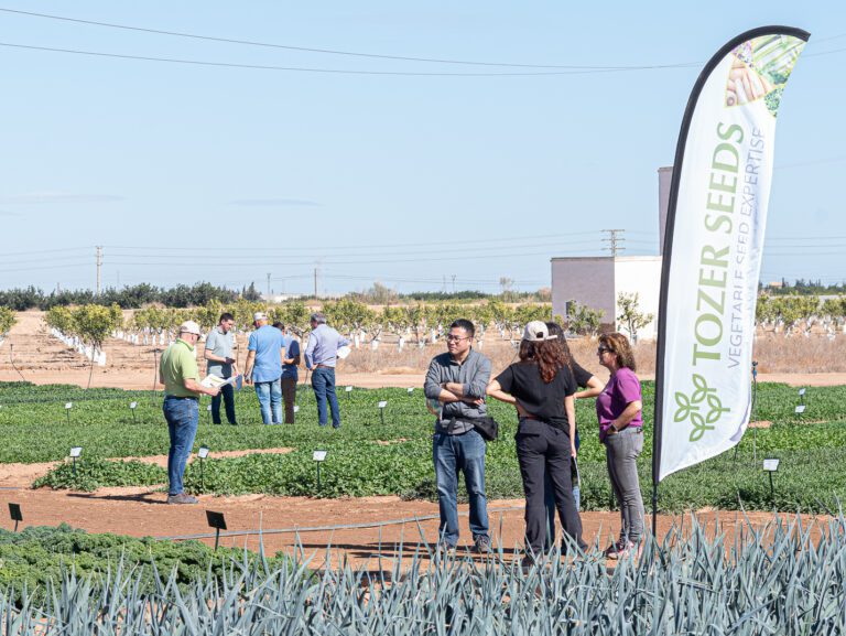 Tozer showcases 150 vegetables varieties at its Murcia Open Days - Tozer